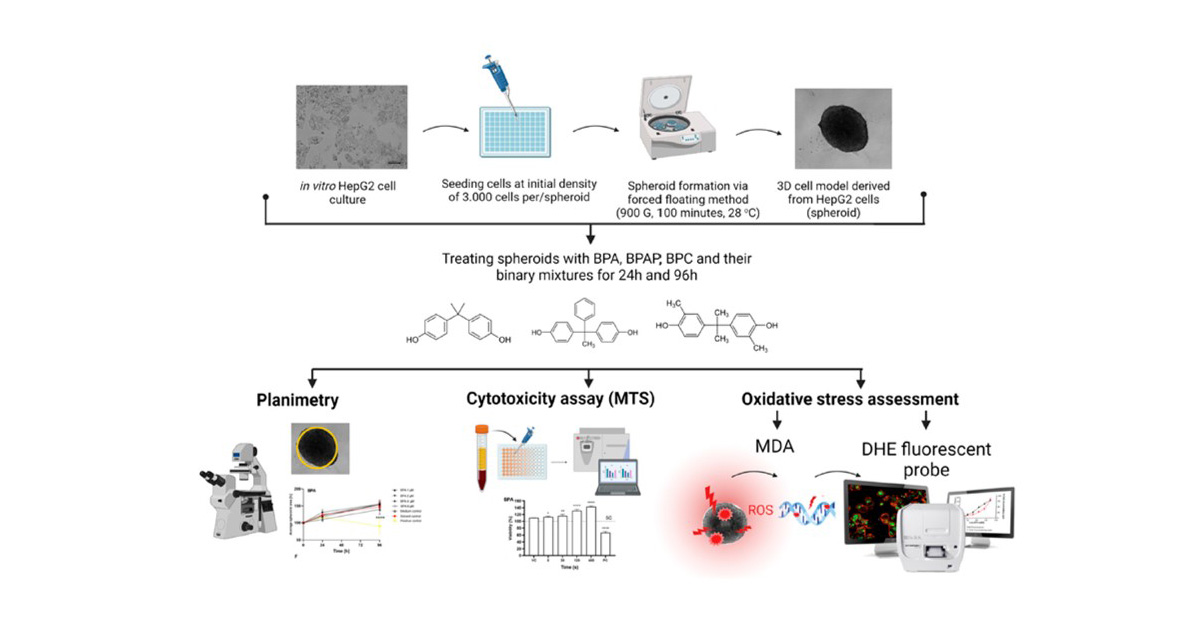 Combined Toxic Effects Of Bpa And Its Two Analogues Bpap And Bpc In A